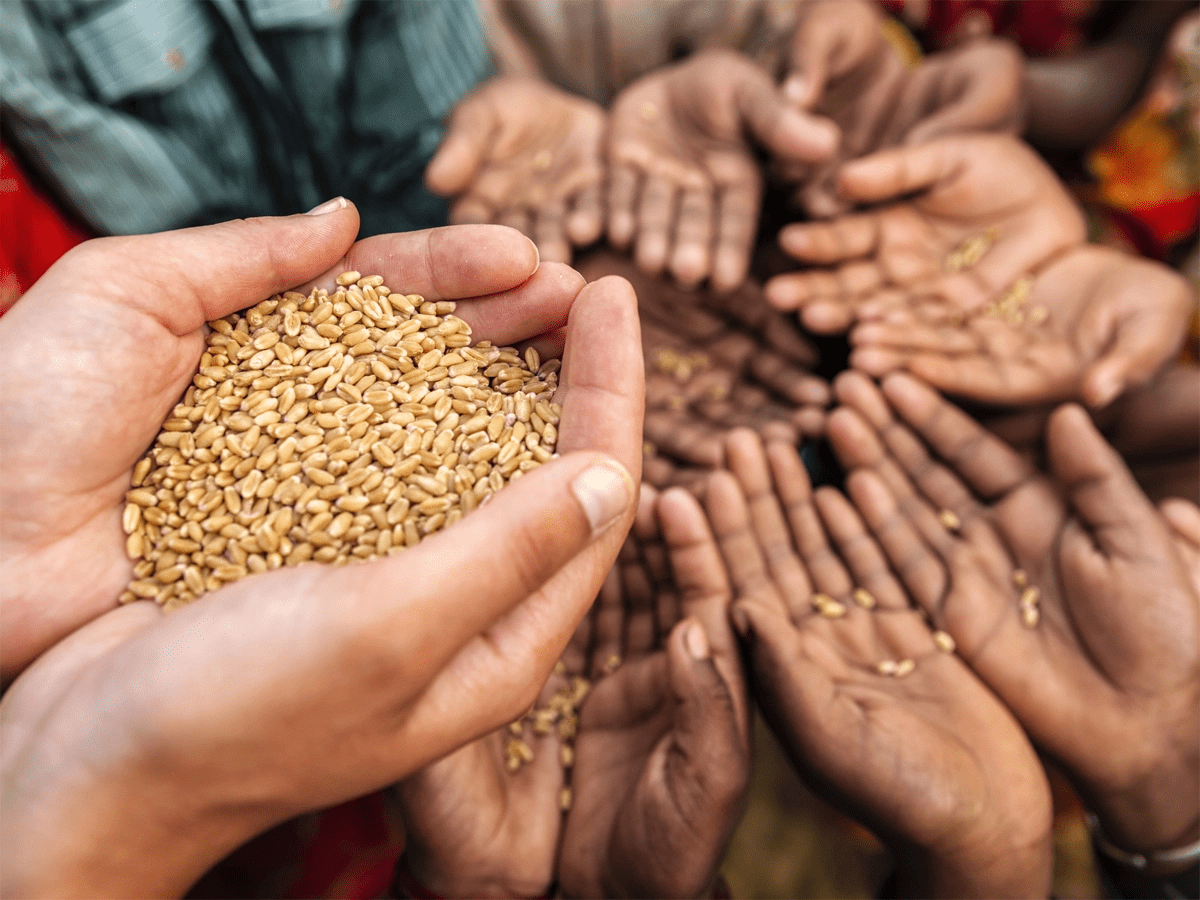 How Blockchain Ensures Traceability To Combat Food Scarcity